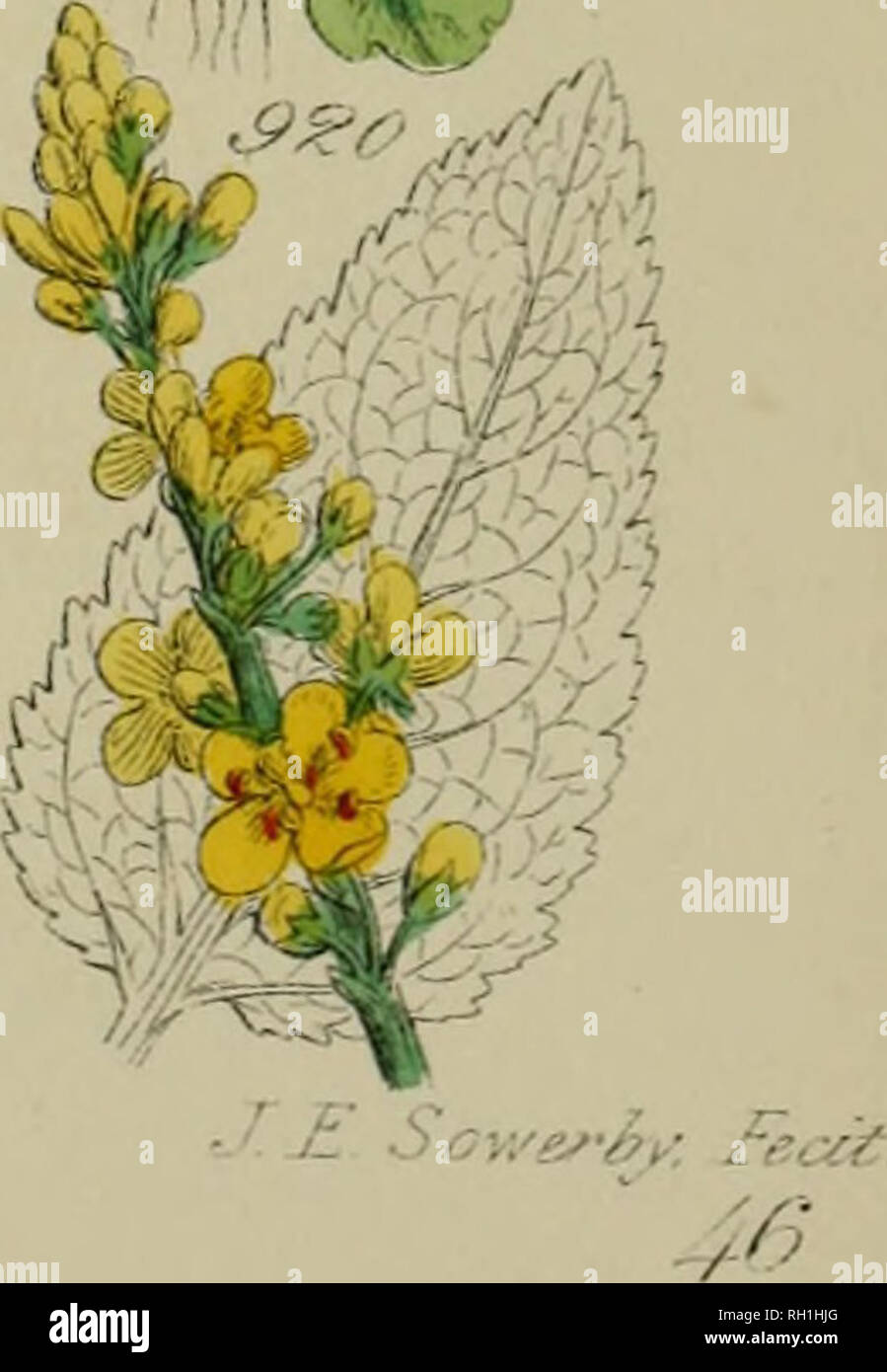 John william salter hi-res stock photography and images - Alamy