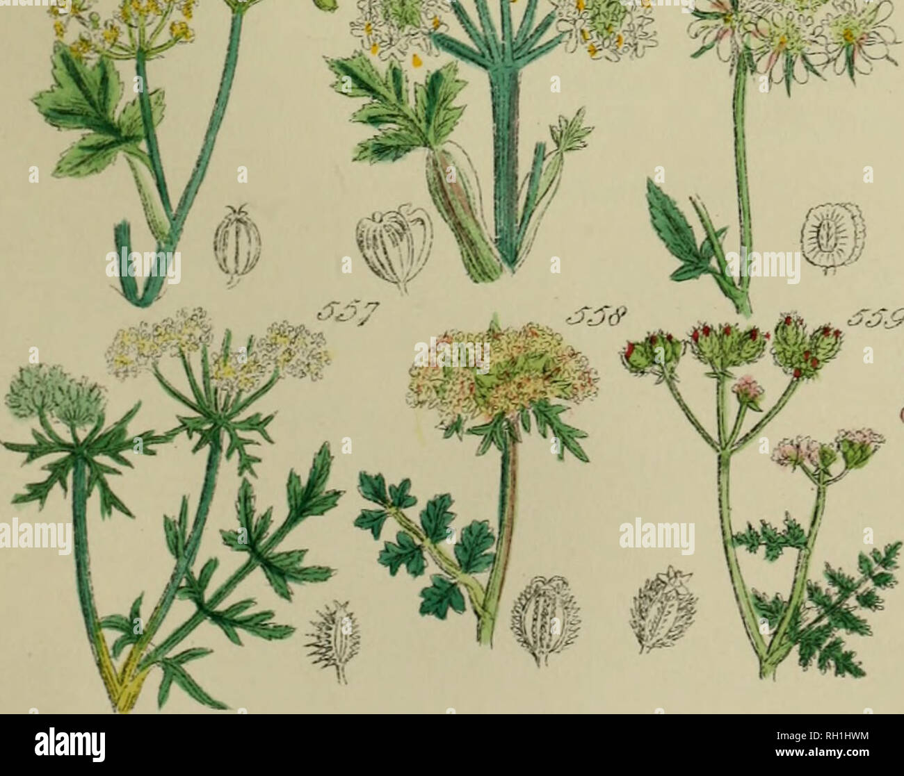 Edward c johnson ii hi-res stock photography and images - Alamy