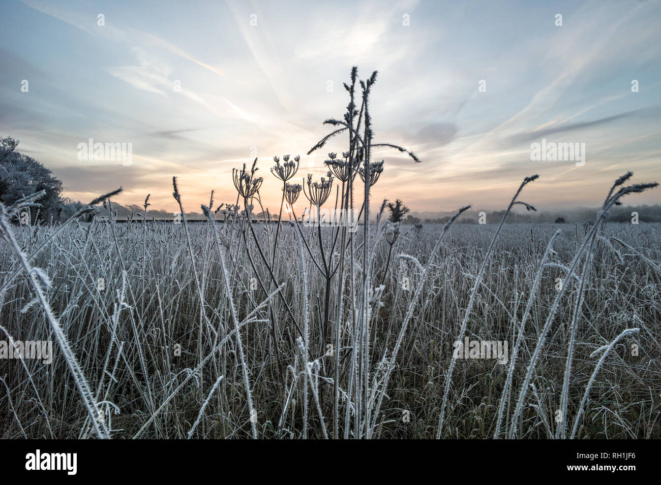 Frosty Winter Scene Stock Photo - Alamy