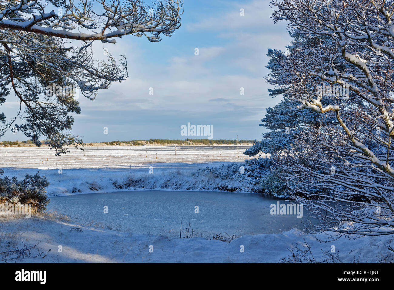 Culbin forest scotland hi-res stock photography and images - Alamy