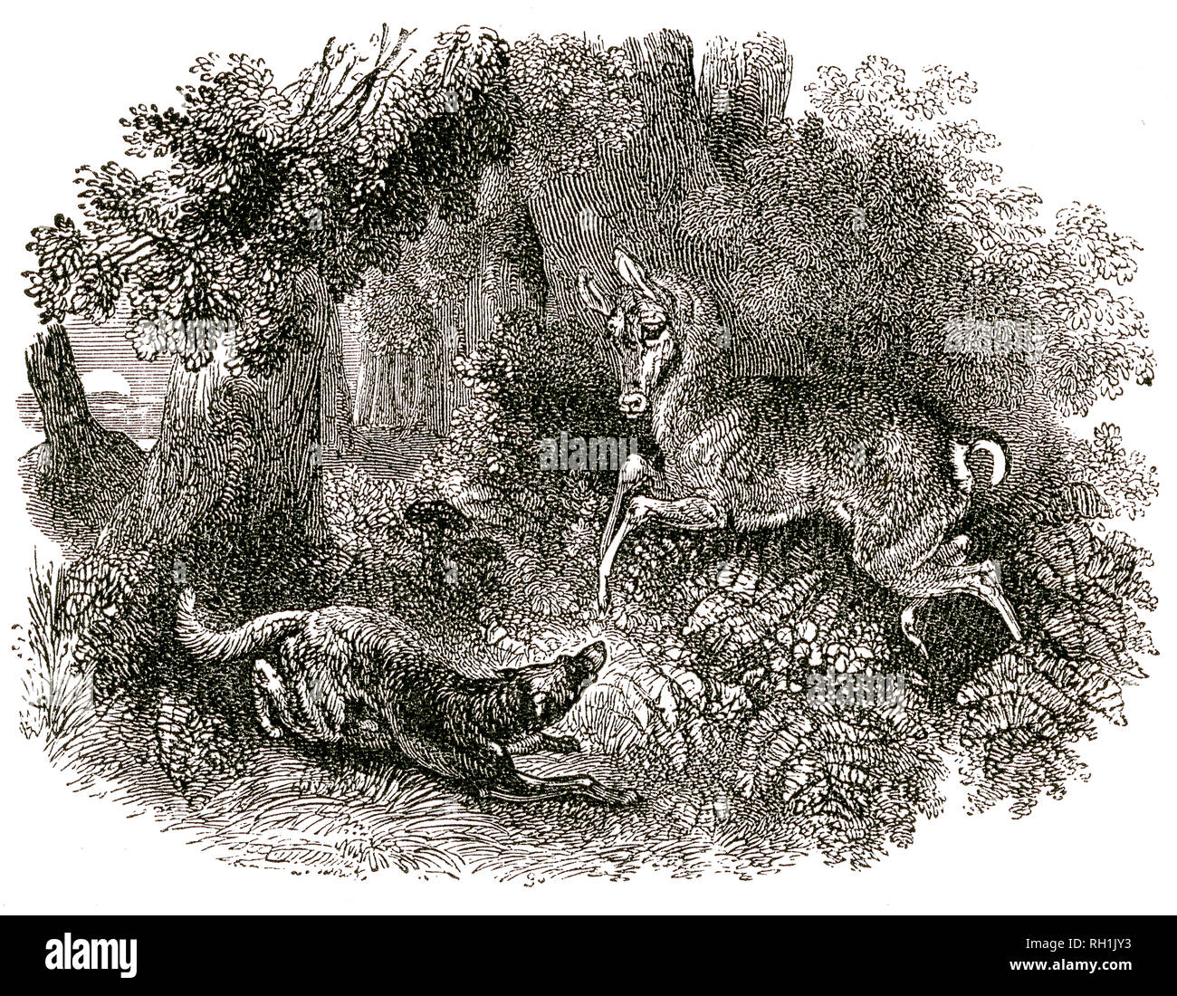 James Hind High Resolution Stock Photography and Images - Alamy