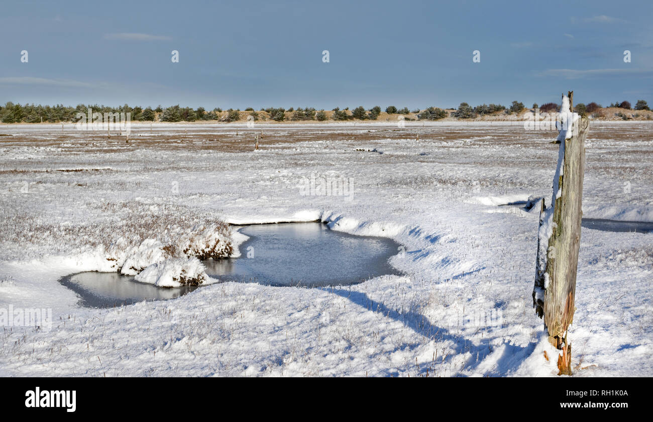 CULBIN FOREST FORRES MORAY SCOTLAND A FROZEN POND AND THE LAGOON OR GUT ...