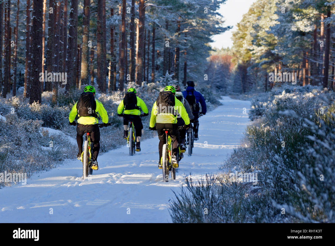 Scottish track cyclist hi-res stock photography and images - Alamy