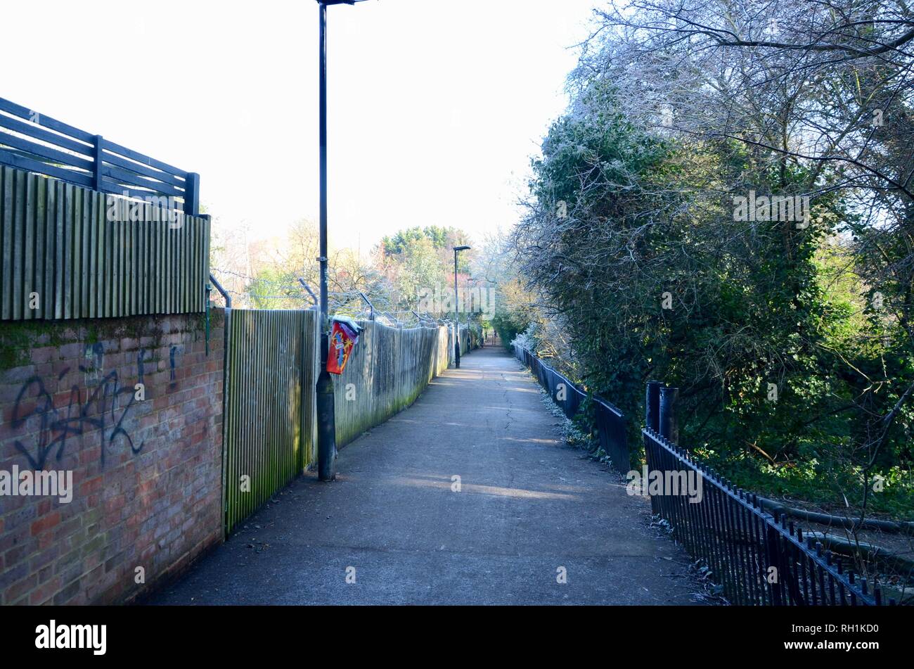 an empty tree lined urBan pathway in north london haringey england UK ...