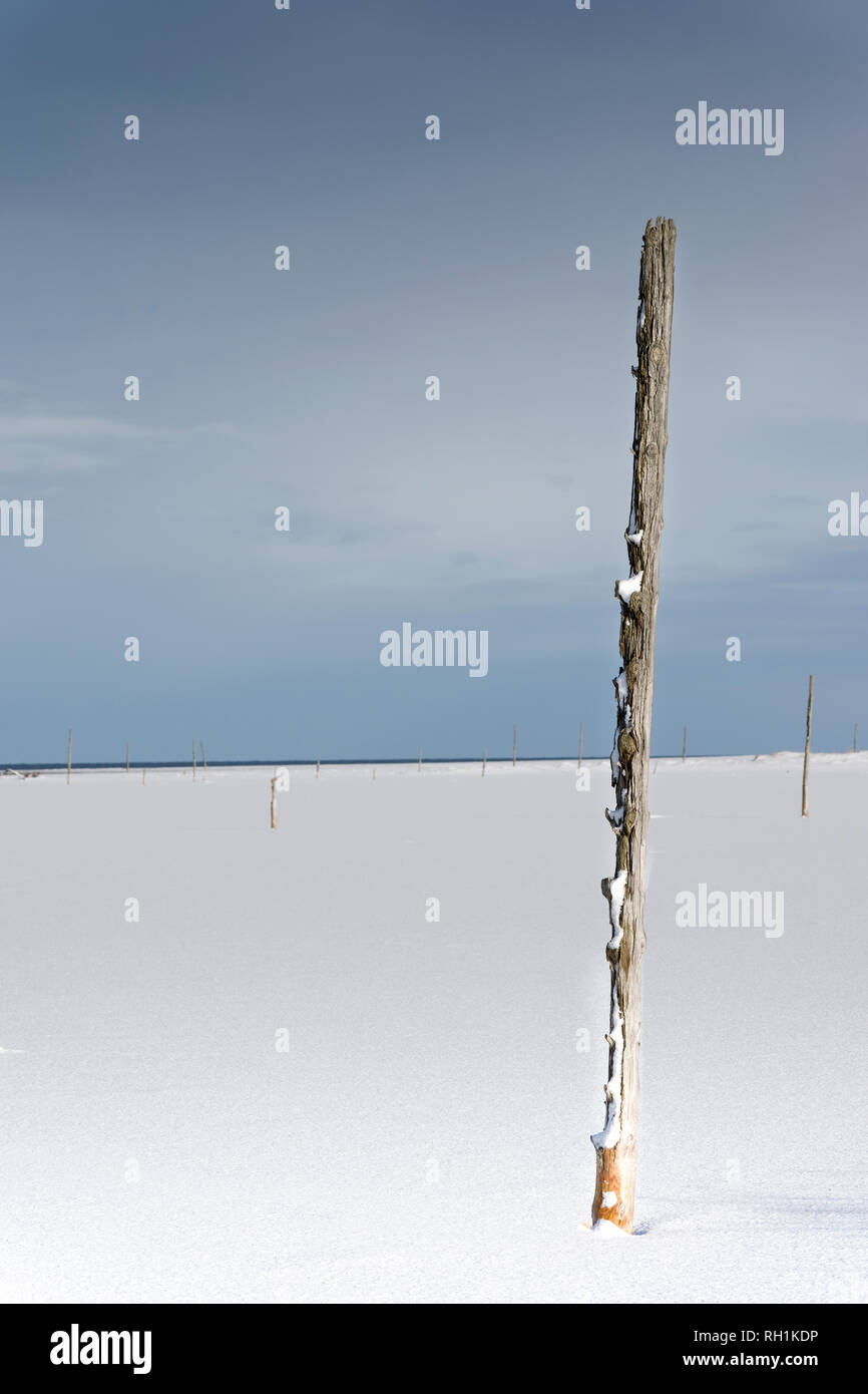 CULBIN FOREST FORRES MORAY SCOTLAND LOOKING ACROSS A LARGE SNOW COVERED ...