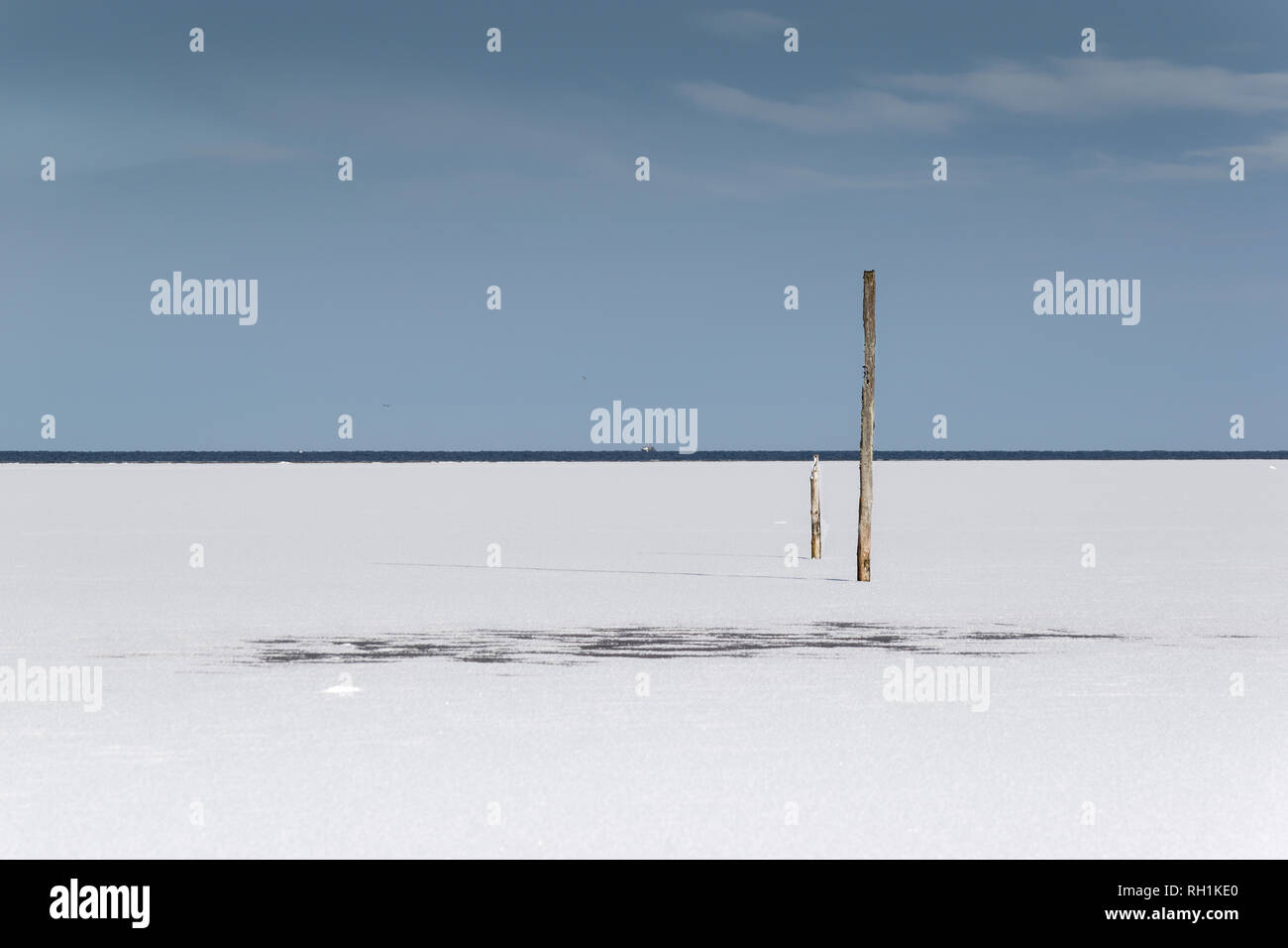 CULBIN FOREST FORRES MORAY SCOTLAND LOOKING ACROSS A LARGE SNOW COVERED ...