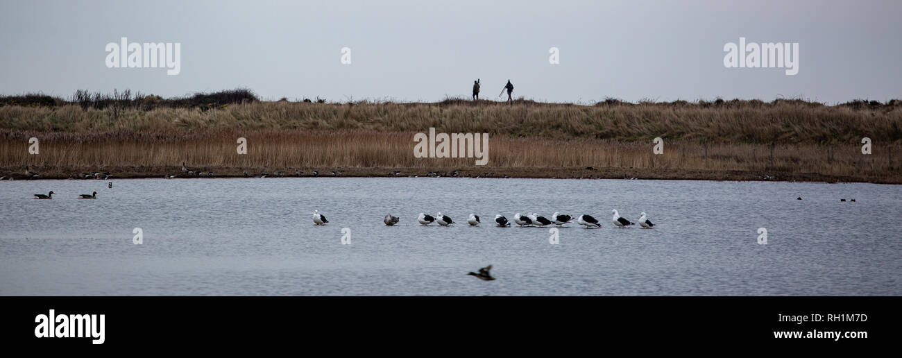 Minsmere Nature Reserve Stock Photo - Alamy