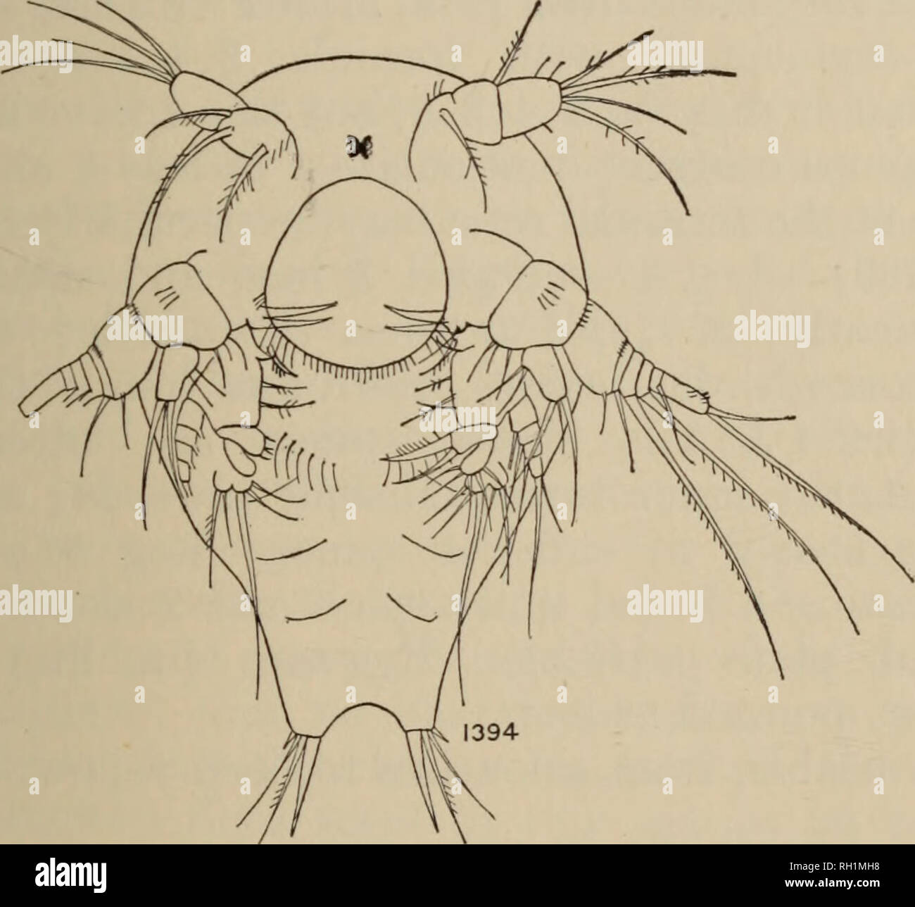 Cyclops th hi-res stock photography and images - Alamy