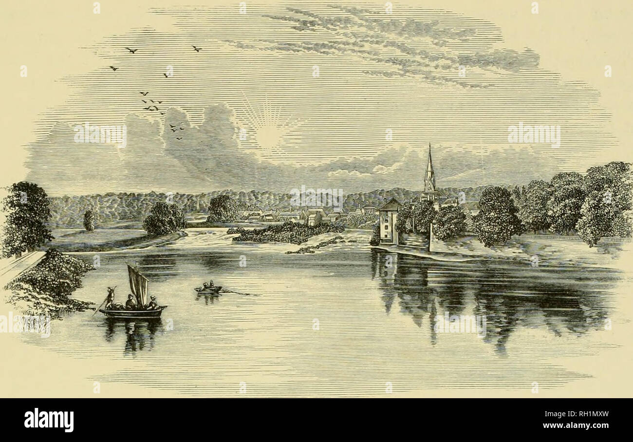 Salmo salar parr hi-res stock photography and images - Alamy