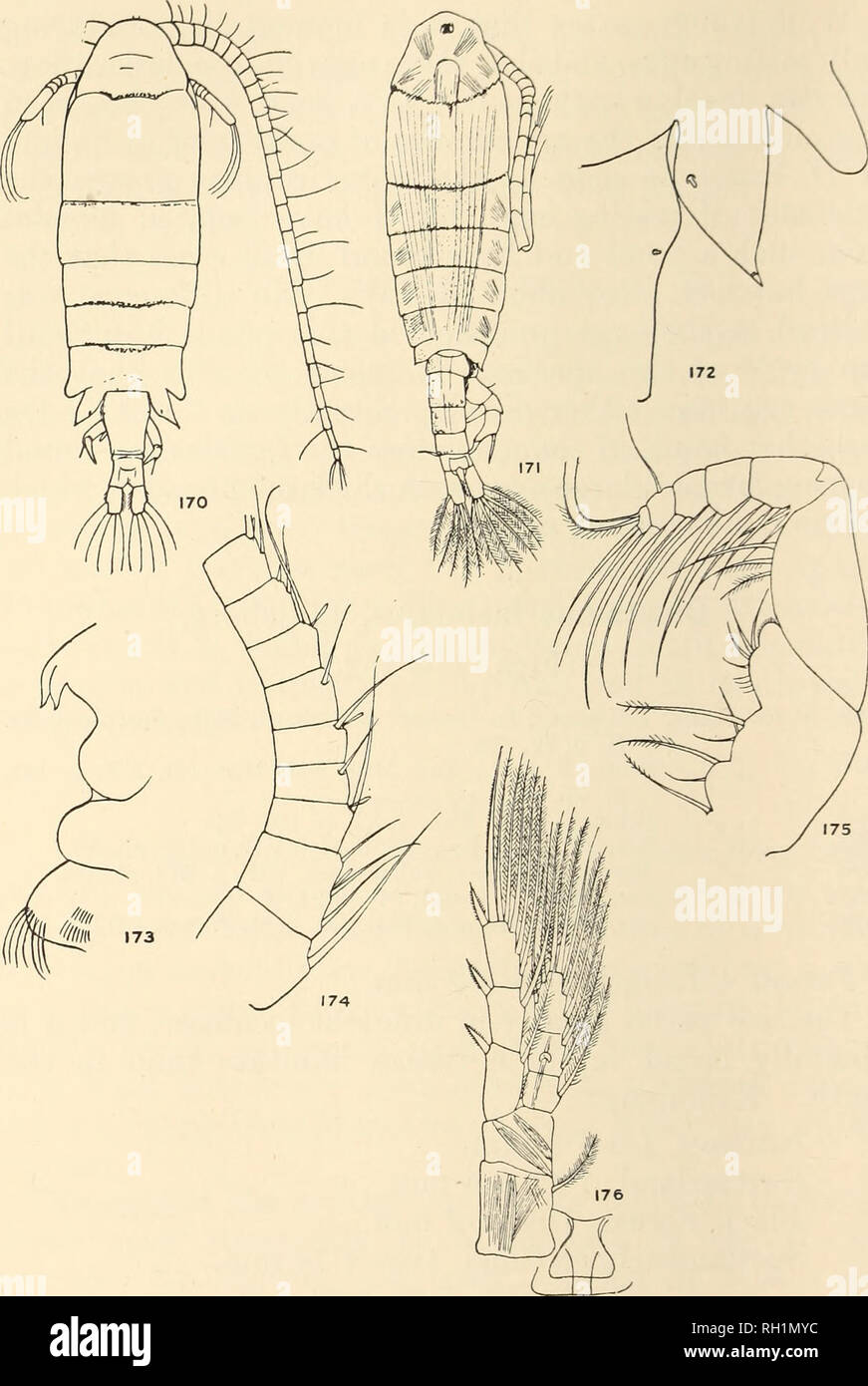 Segs 8 hi-res stock photography and images - Alamy