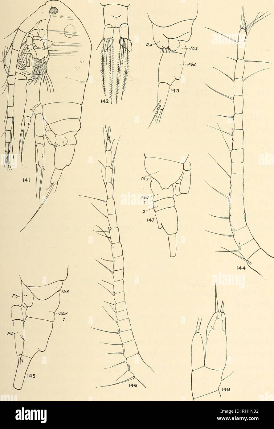. British fresh-water Copepoda. --. Copepoda; Crustacea. DIAPTOMUS ...