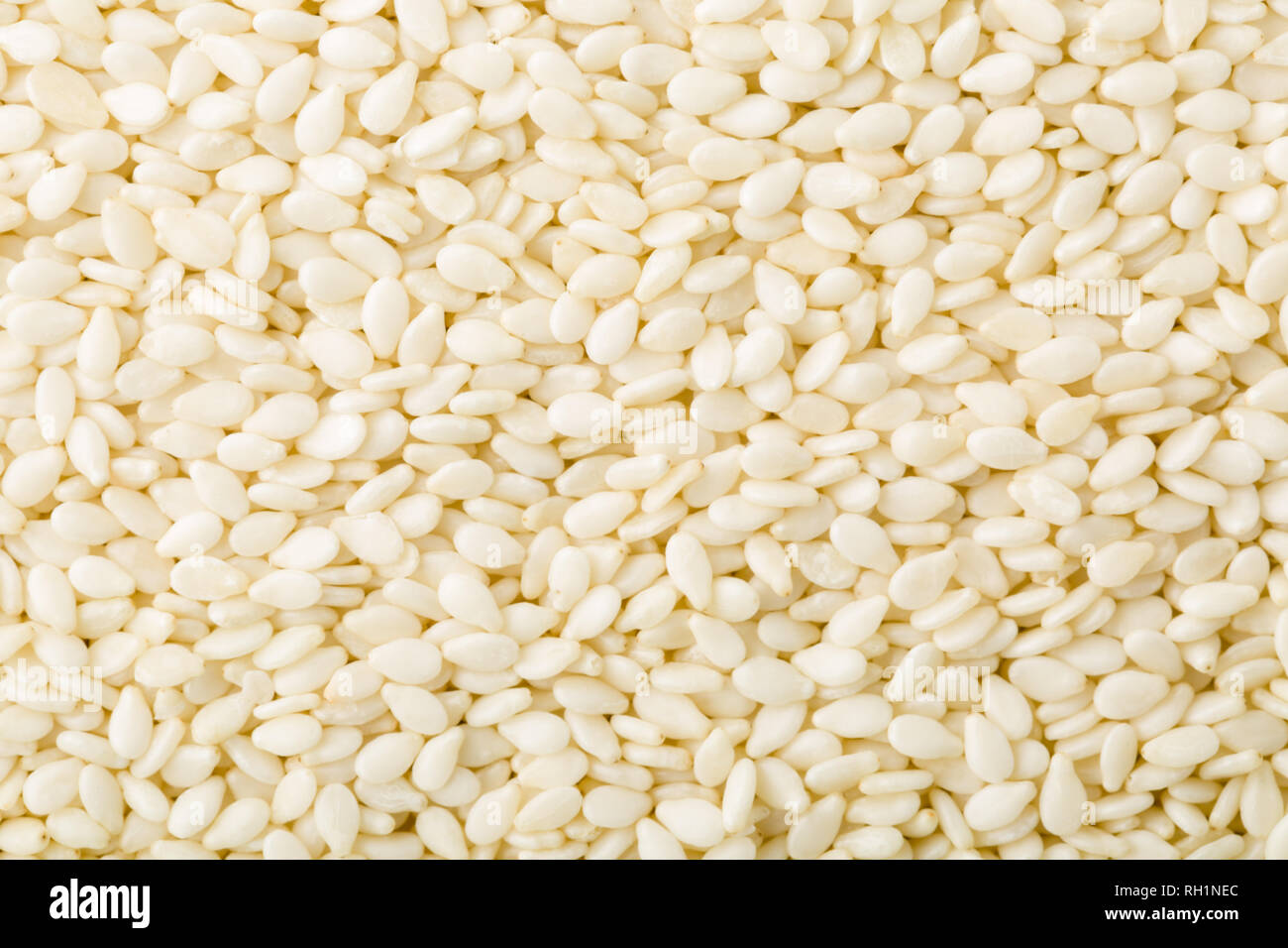 White peeled sesame seeds close up, background, texture, top view Stock ...