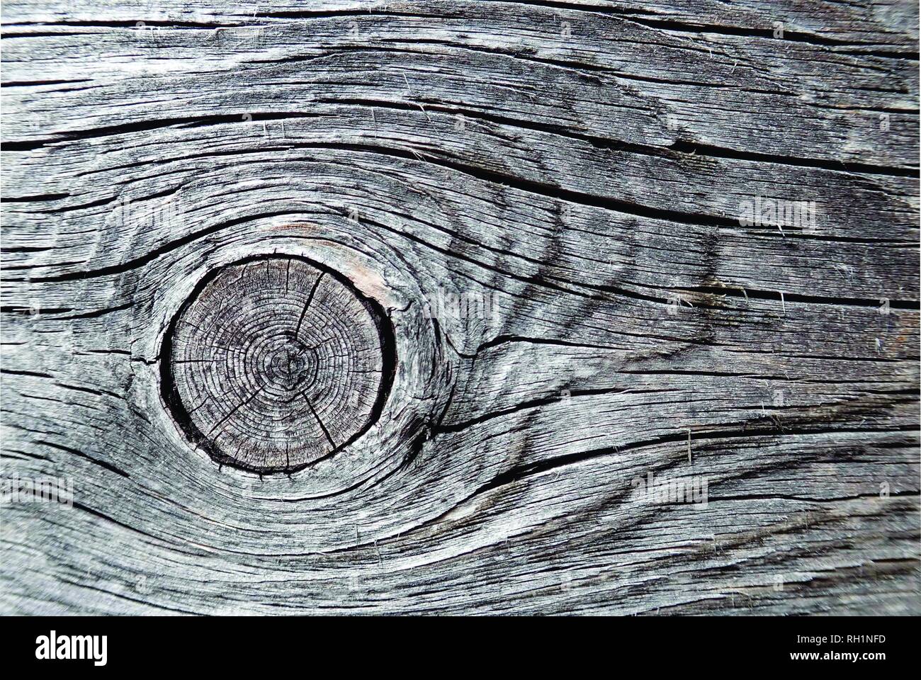 Aged larch wood knot hi-res stock photography and images - Alamy Aged larch wood knot hi-res stock photography and images - Alamy