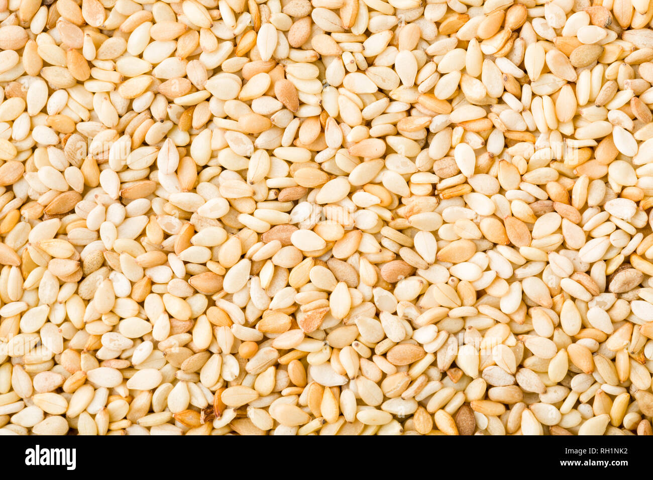 Sesame Seed Actual Size