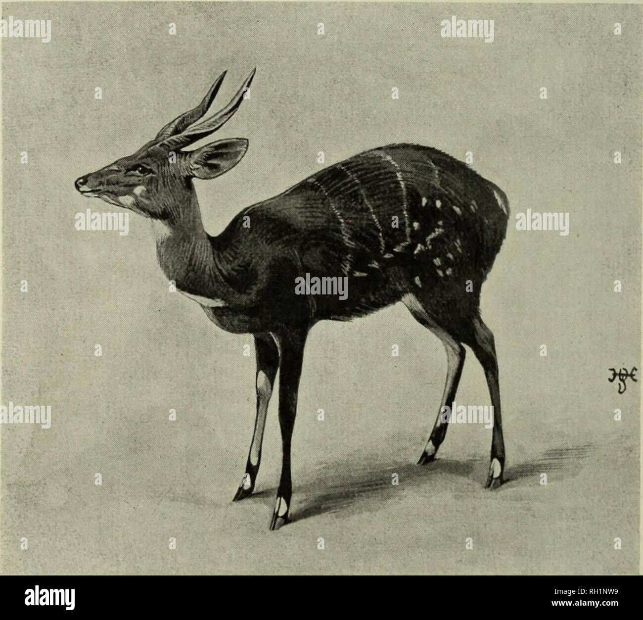 Lake mweru hi-res stock photography and images - Alamy