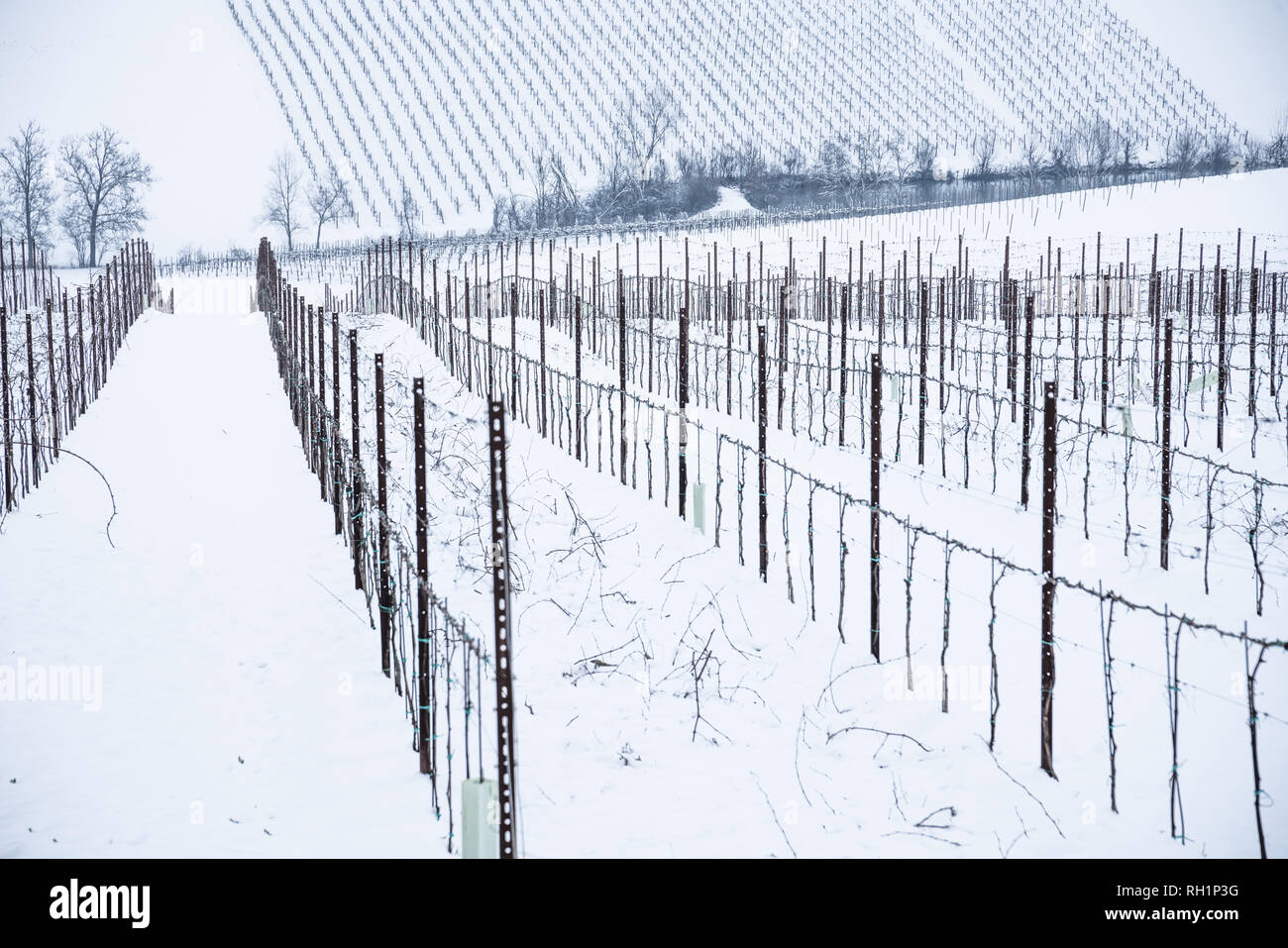 Padan plain hi-res stock photography and images - Alamy