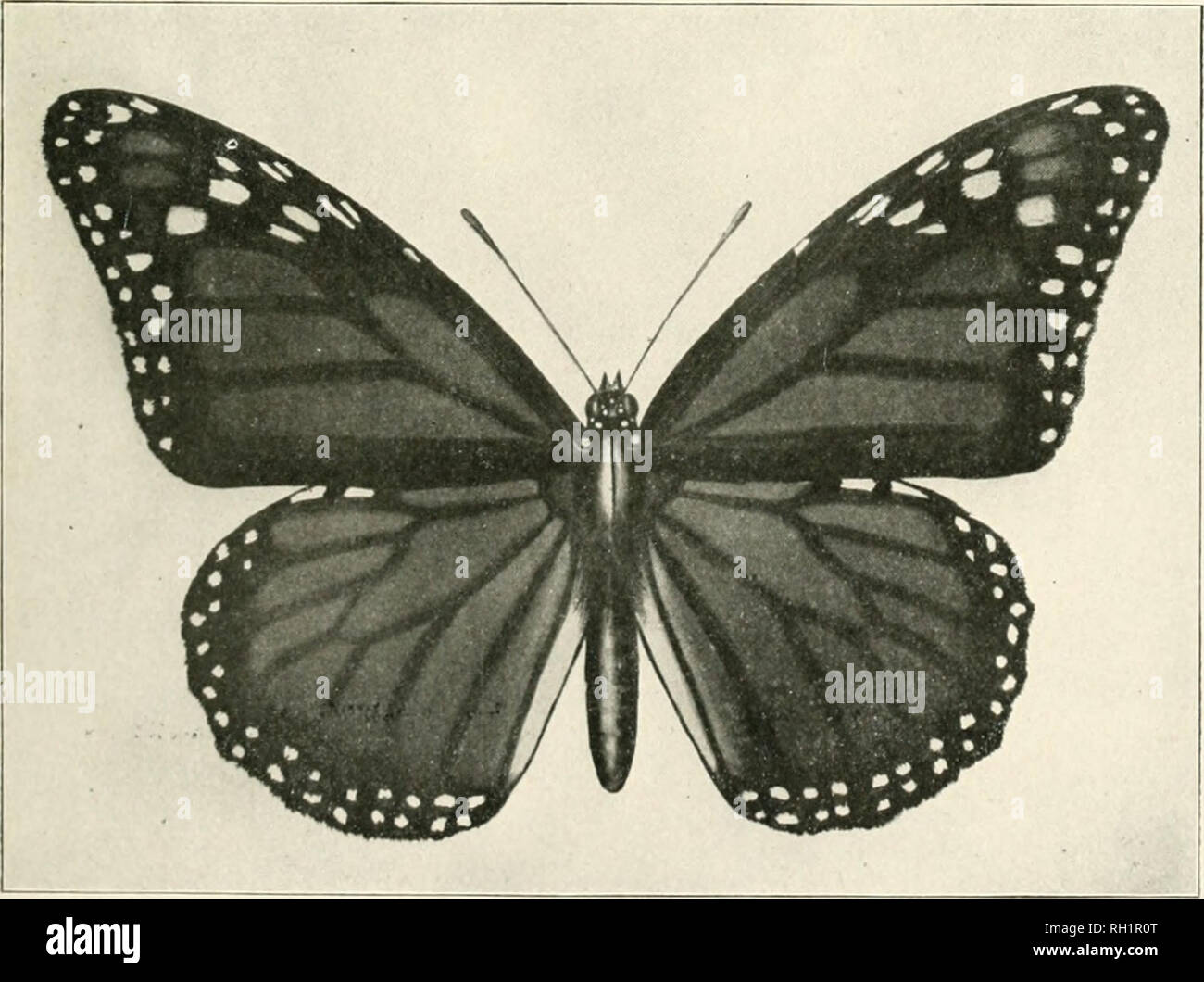 Truncated conical body hi-res stock photography and images - Alamy