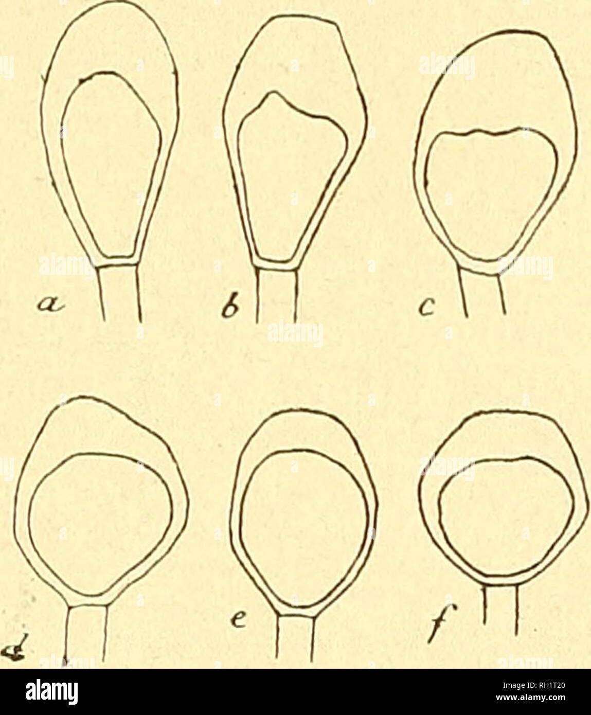 101 feuilles hi-res stock photography and images - Alamy