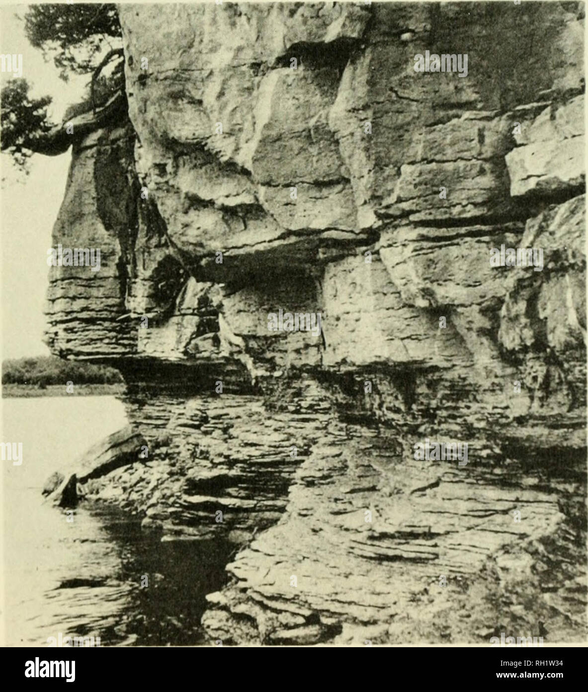 Thin section of limestone hi-res stock photography and images - Alamy