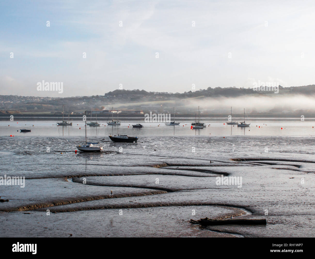 Misty early morning at low tide on the Tamar estuary, on the Devon and ...