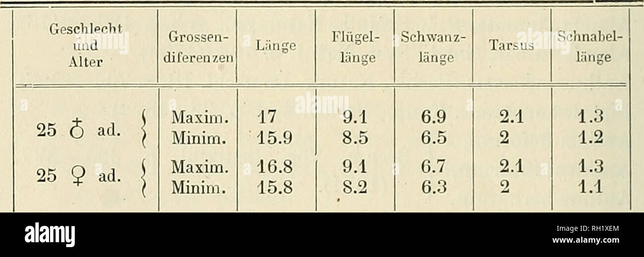 Al ciner hi-res stock photography and images - Alamy