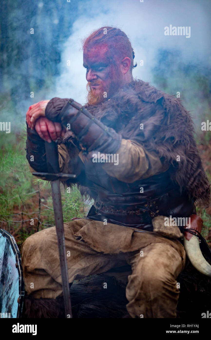 Bloody real viking with his sword in the countryside Stock Photo - Alamy