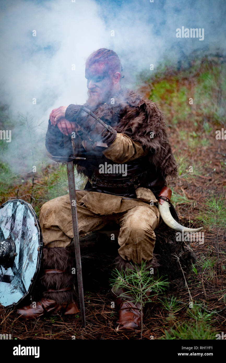 Bloody real viking with his sword in the countryside Stock Photo - Alamy