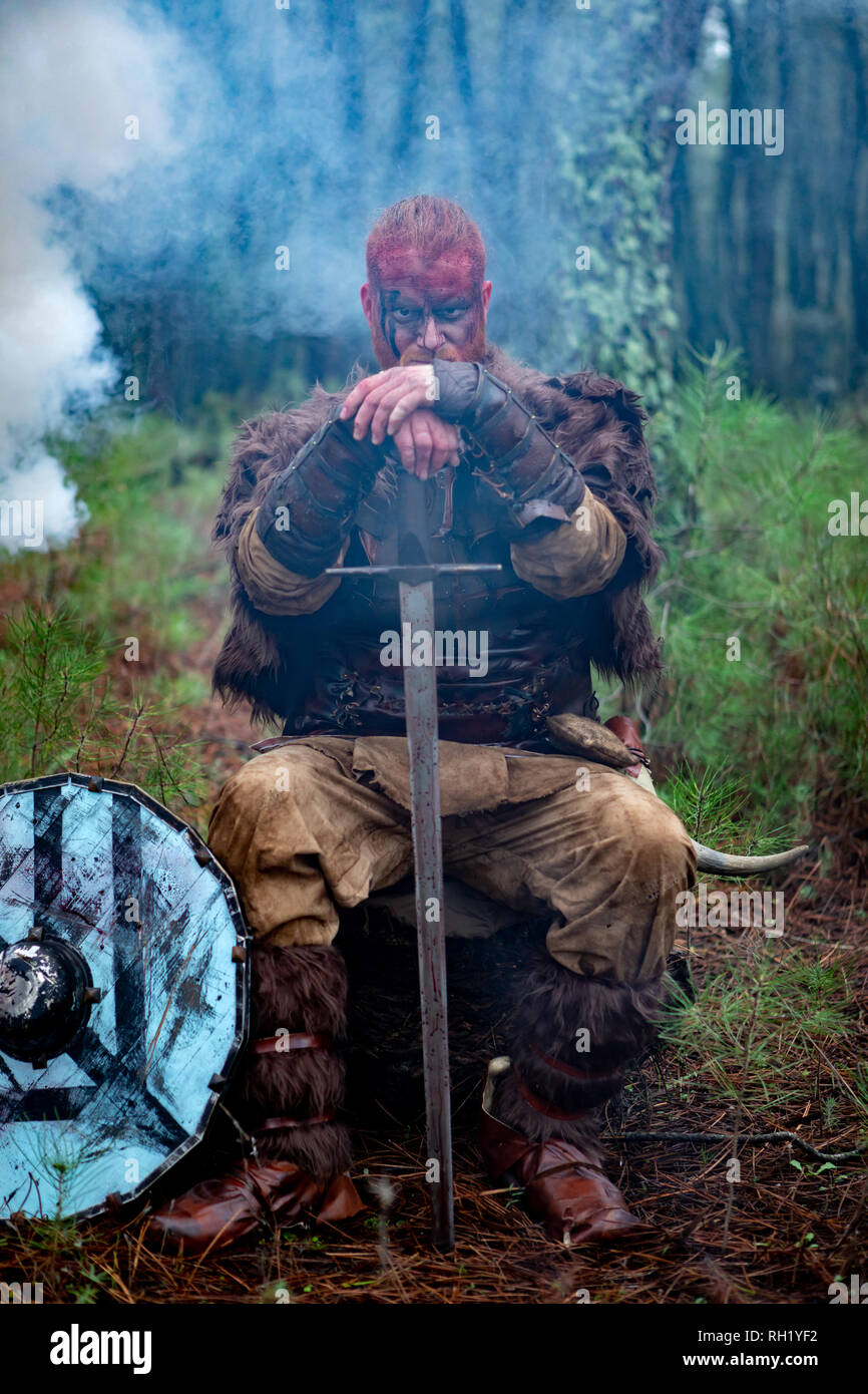 Bloody real viking with his sword in the countryside Stock Photo - Alamy