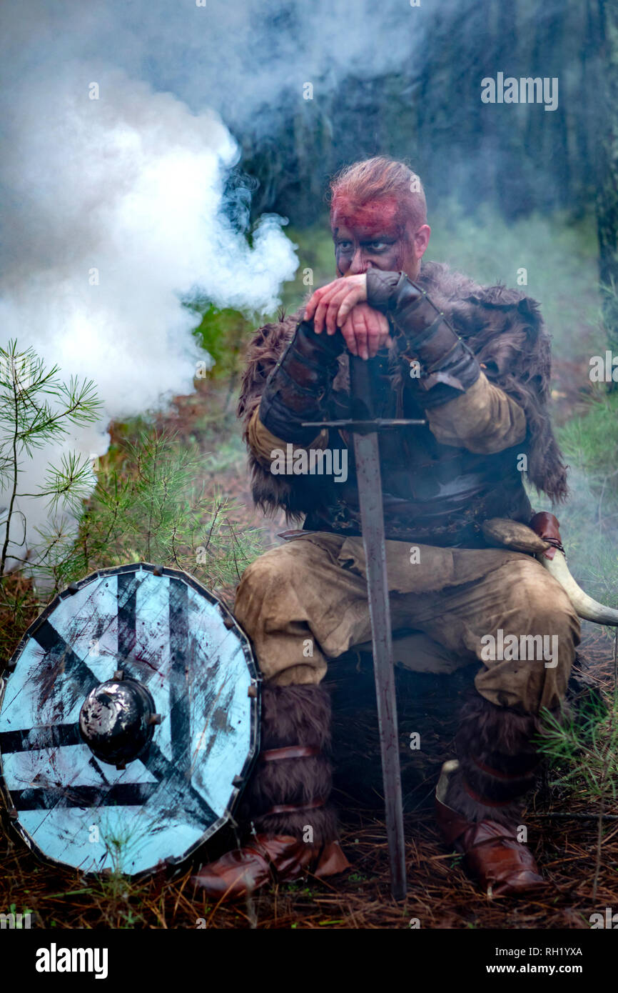 Bloody real viking with his sword in the countryside Stock Photo - Alamy