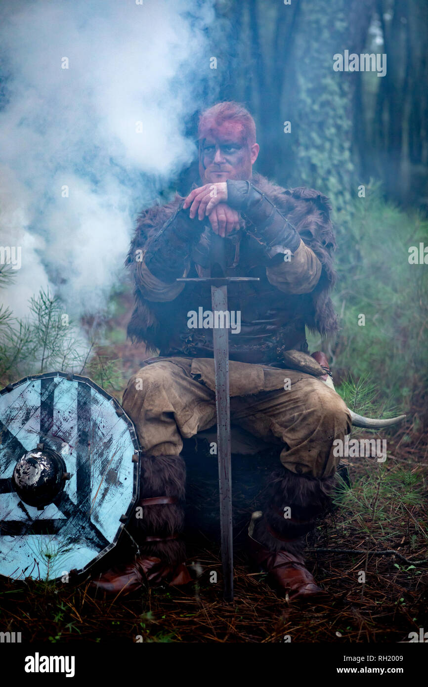 Bloody real viking with his sword in the countryside Stock Photo - Alamy