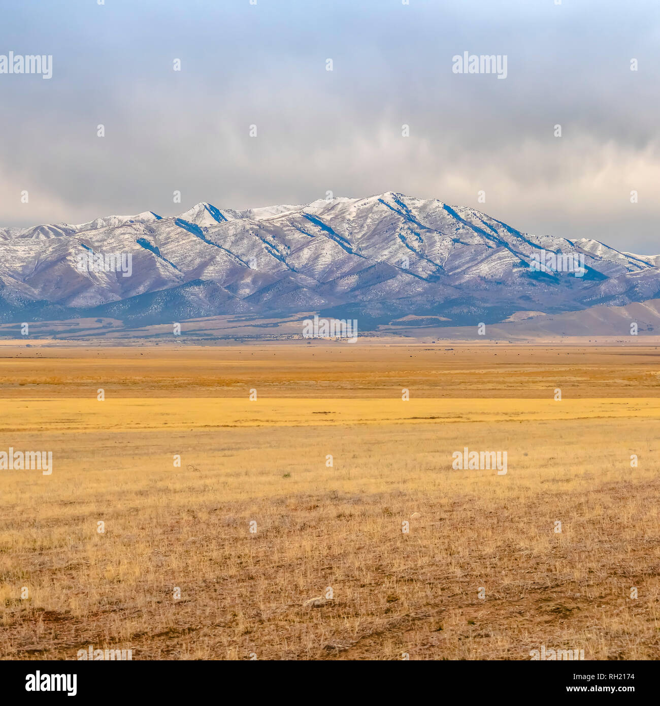 Lowe Peak towering over grassland in Utah Valley Stock Photo - Alamy