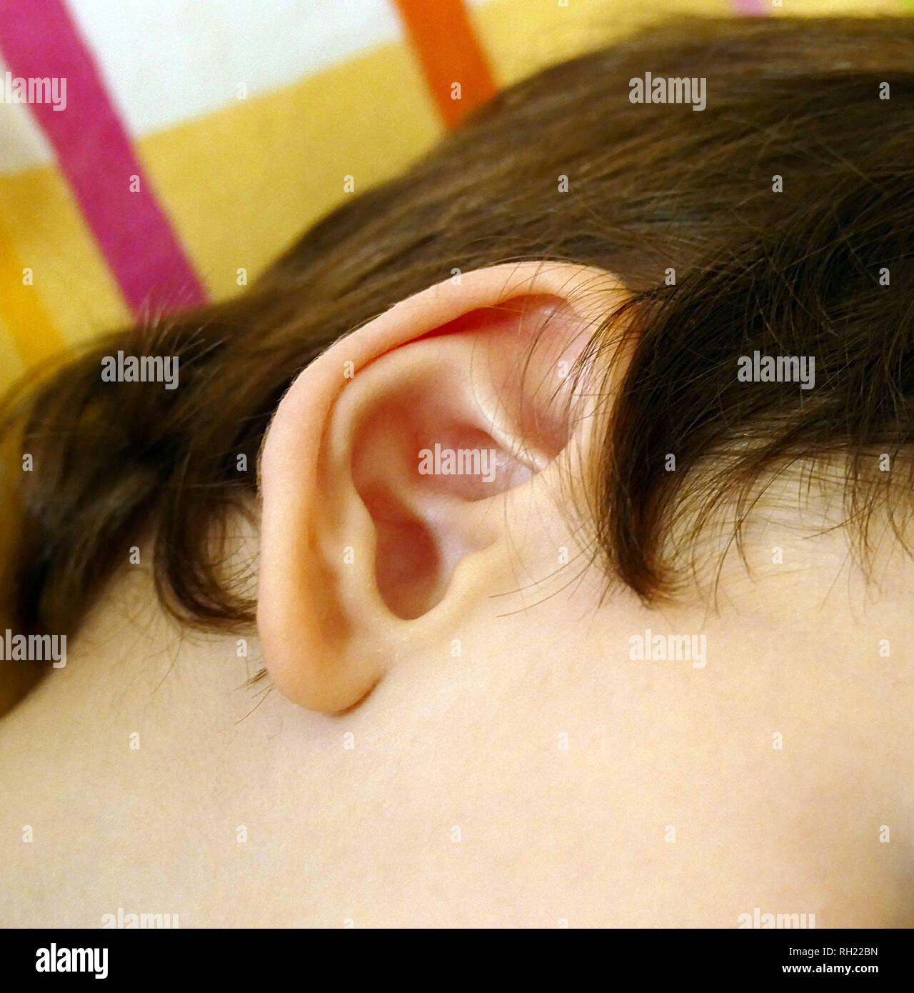and the ear of a sleeping child, close-up pictures of ear, ear health ...