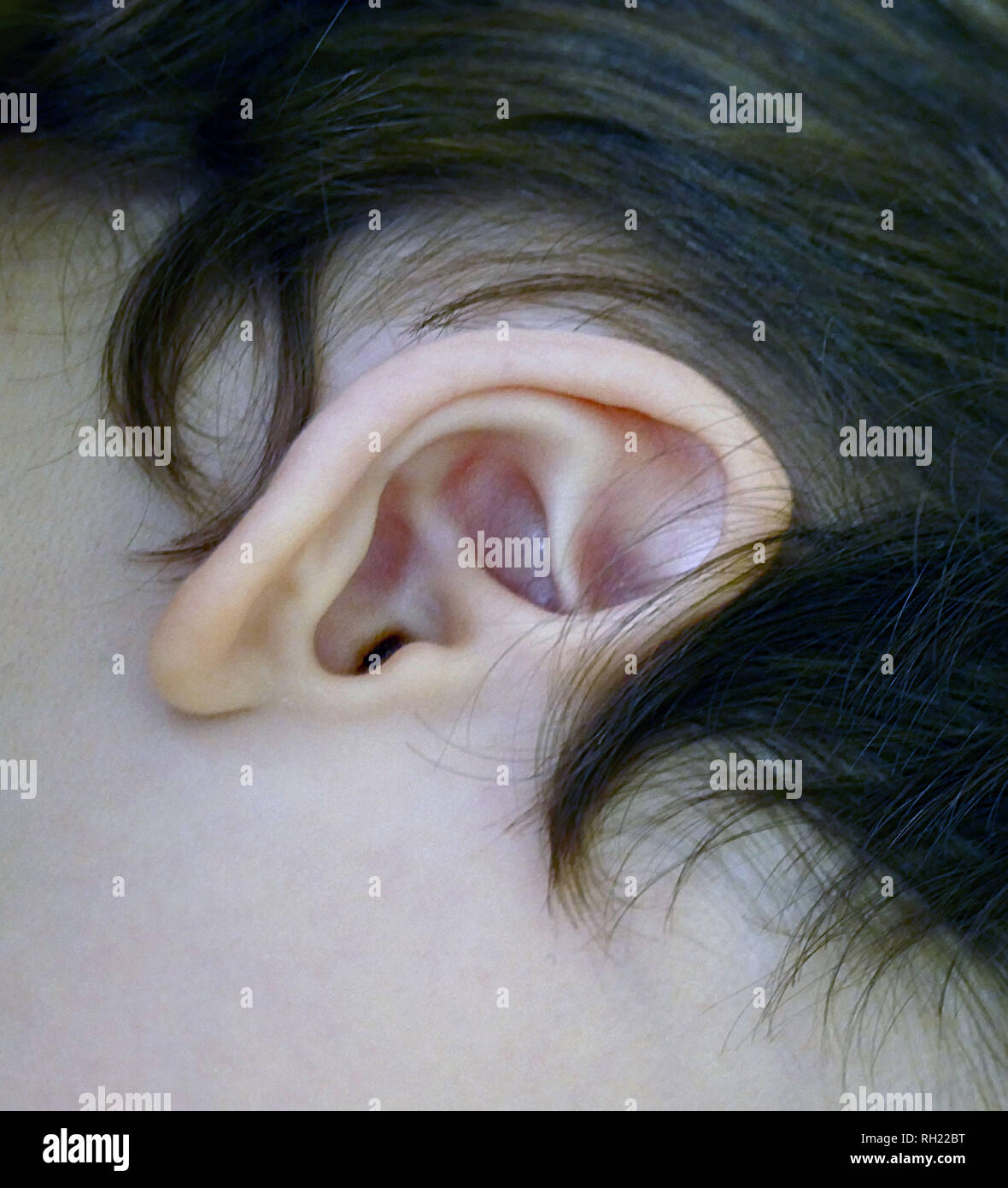 and the ear of a sleeping child, close-up pictures of ear, ear health ...