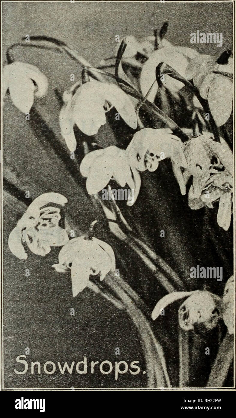 Finger like projections hi-res stock photography and images - Alamy