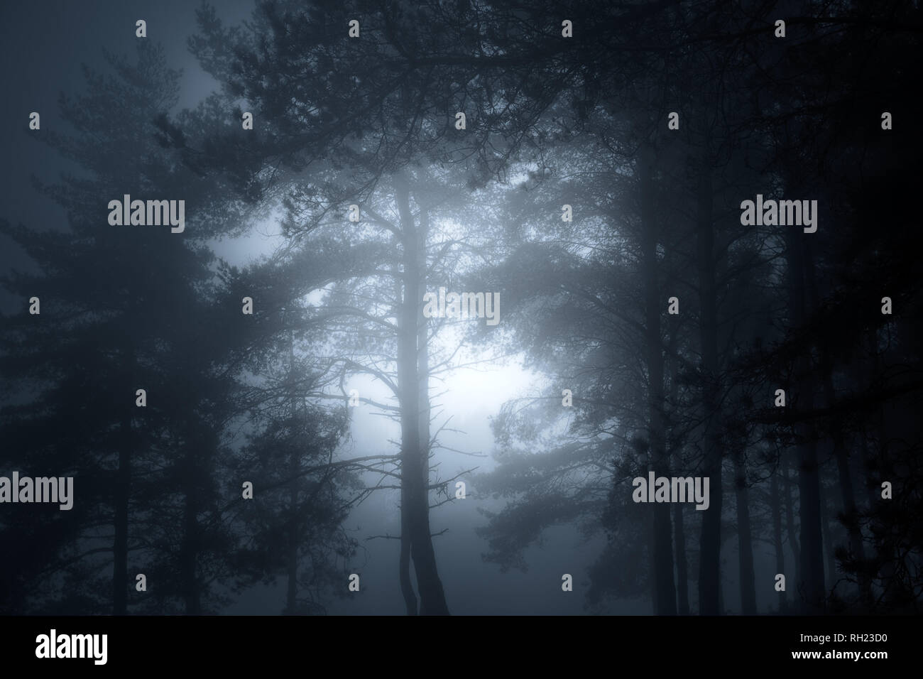 Moonlit magic hi-res stock photography and images - Alamy