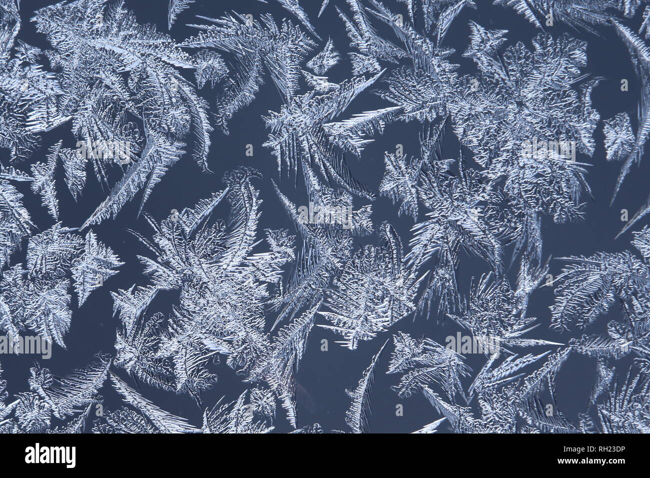 White frost effect hi-res stock photography and images - Alamy