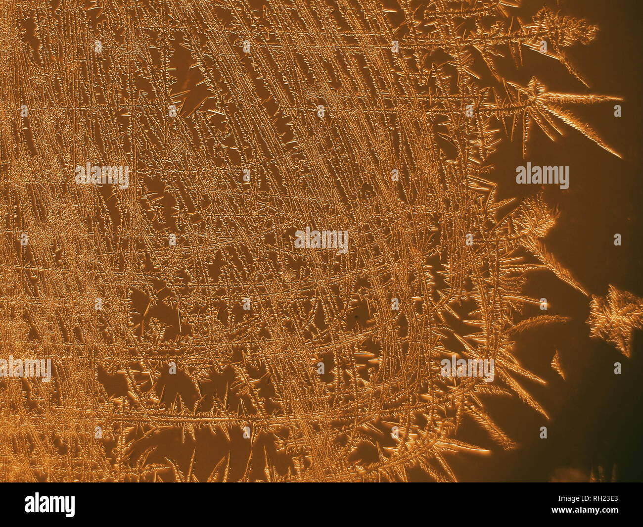 Window tint hi-res stock photography and images - Alamy