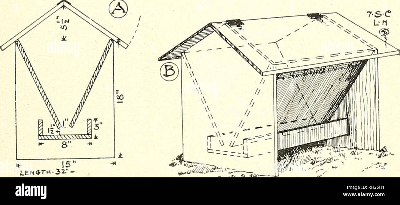 Proper Dimensions Of A Cross