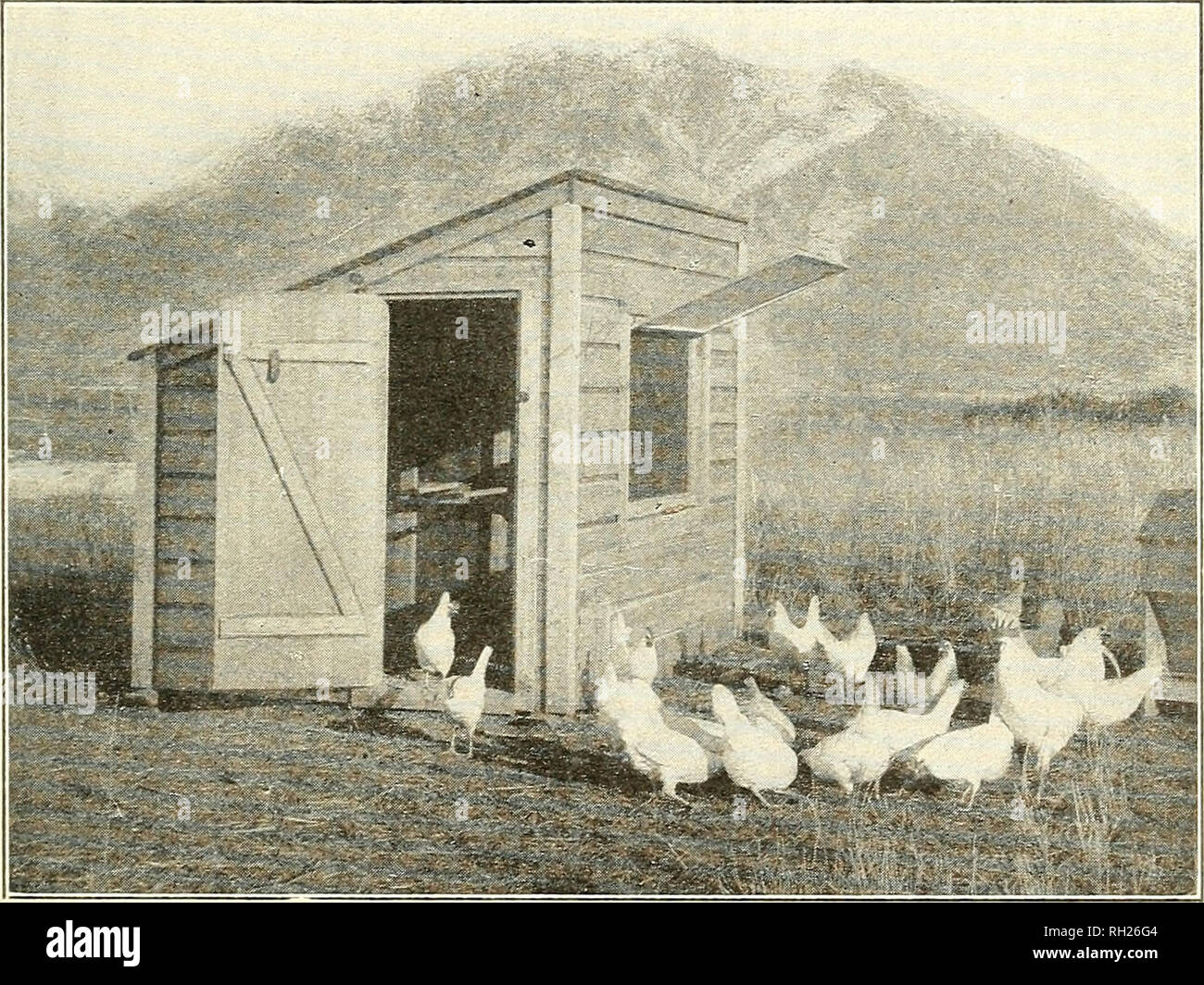 . Built and used by poultrymen;. Poultry. Modern Colony Houses 39 ...