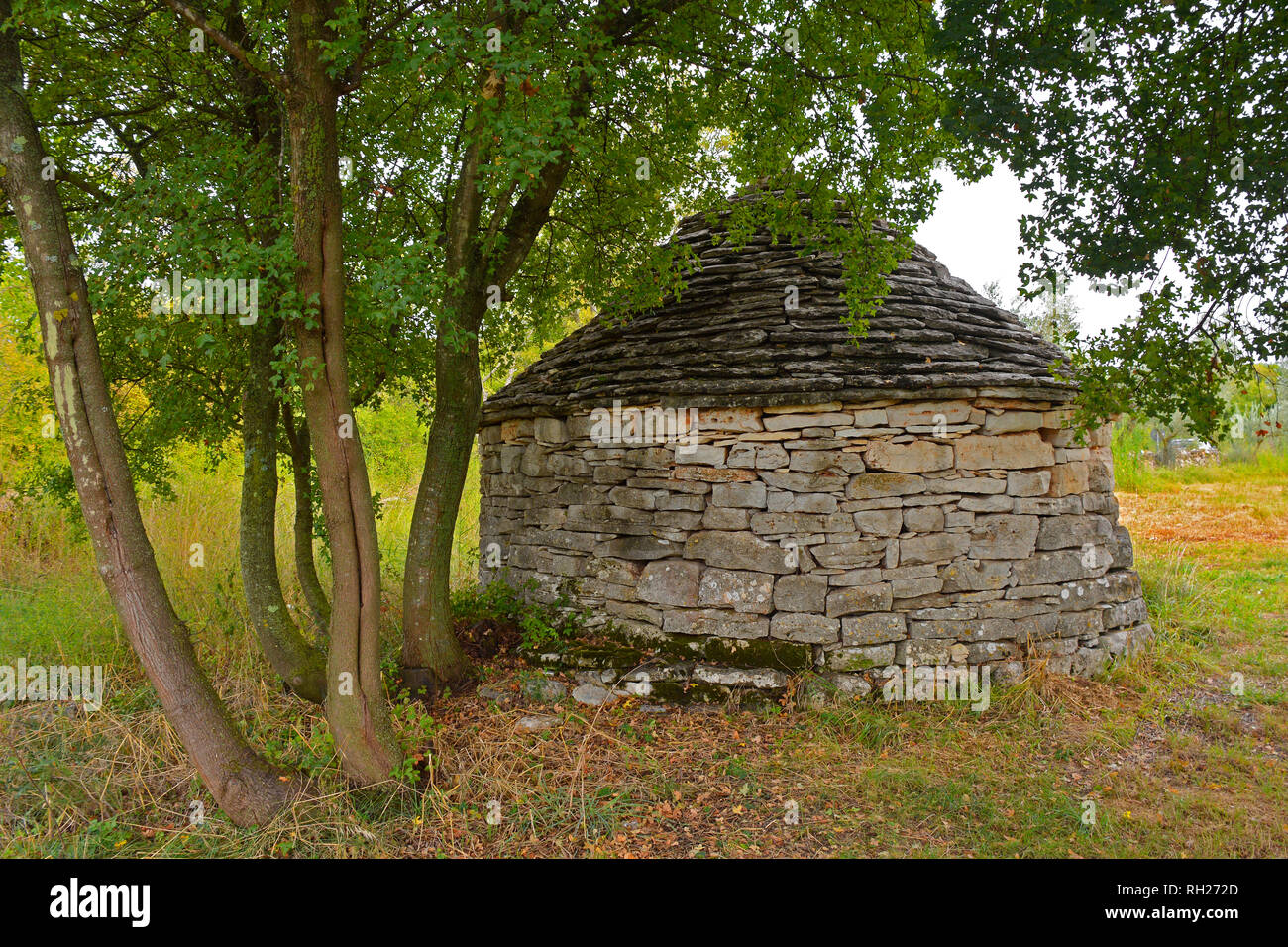Kazuni hi-res stock photography and images - Alamy