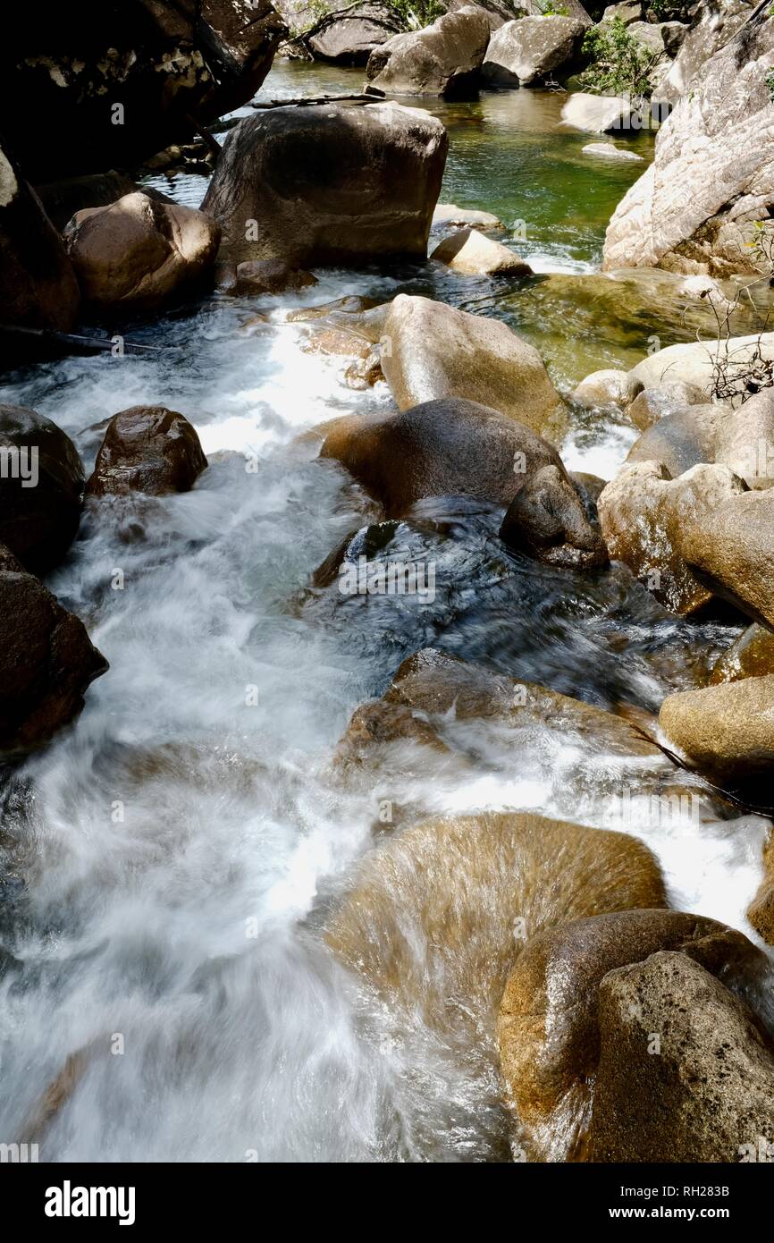Cascading whitewater stream with emerald green water, Finch Hatton ...
