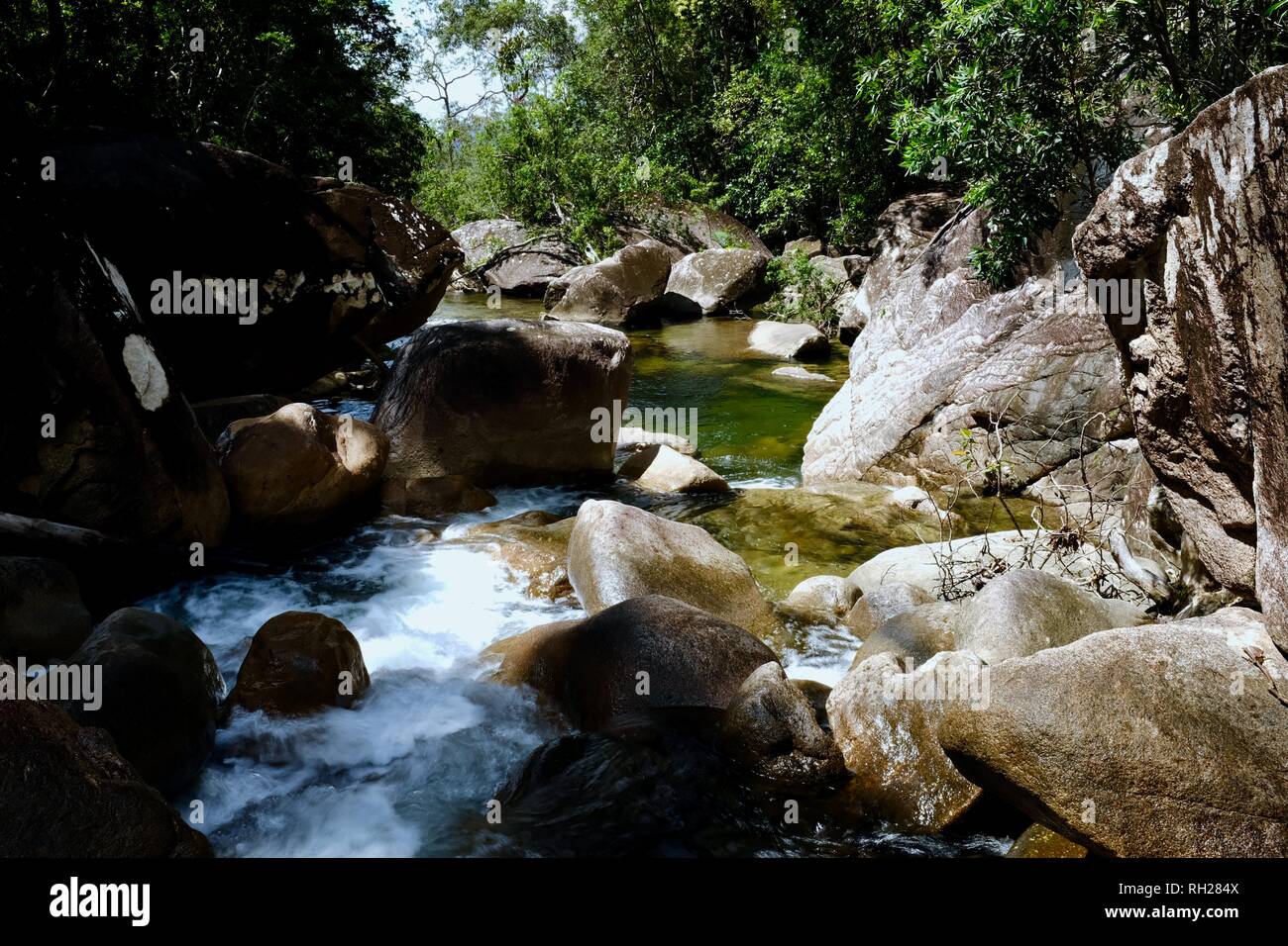 Cascading whitewater stream with emerald green water, Finch Hatton ...