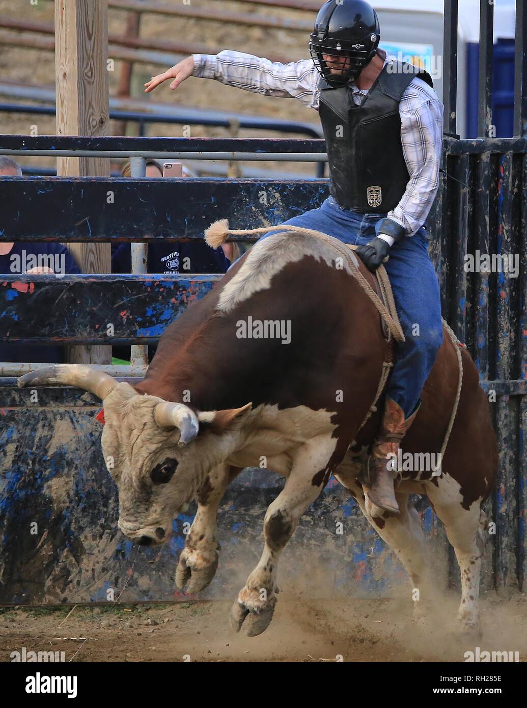 Helmet bull rider bull rider hi-res stock photography and images - Alamy