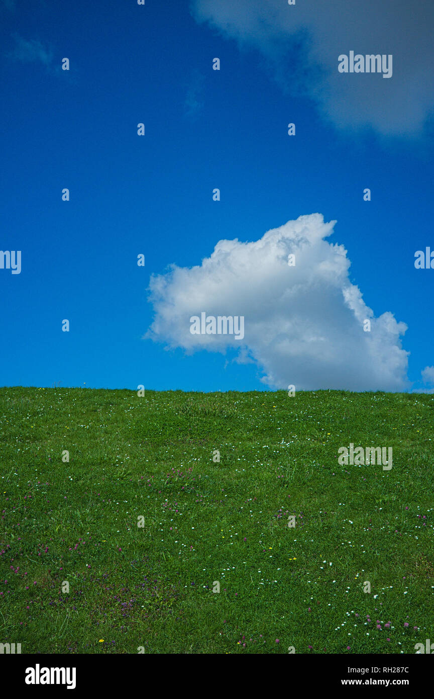 Norddeich hi-res stock photography and images - Alamy