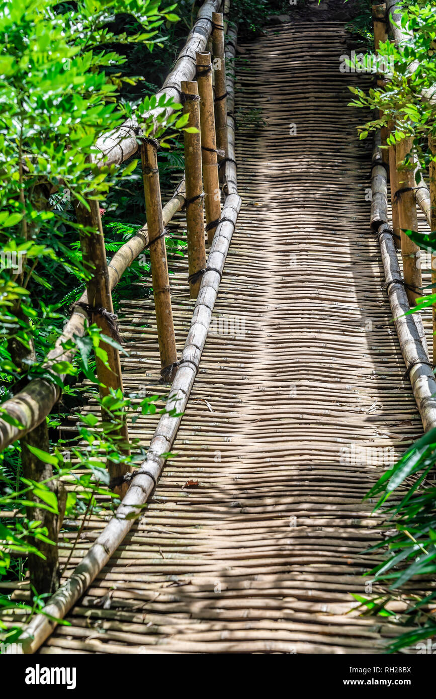 Forest rope bridge hike hi-res stock photography and images - Alamy