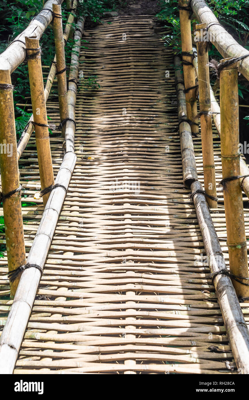 Forest rope bridge hike hi-res stock photography and images - Alamy