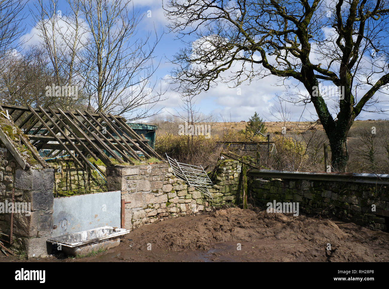dilapidated farm yard, and decaying buildings on bodmin moor Cornwall ...