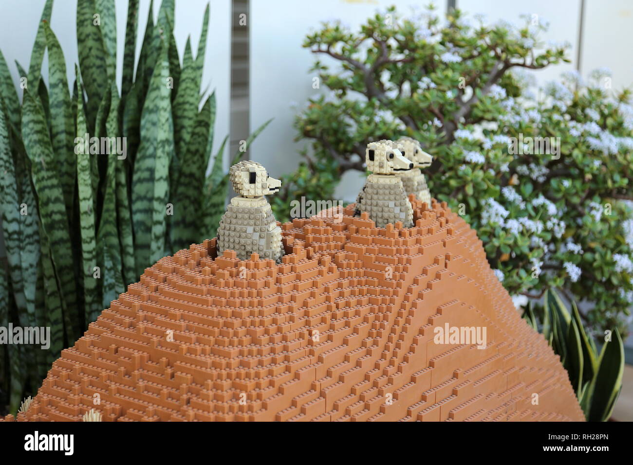 Great Brick Safari 2019, Meerkats made of Lego, RHS Garden Wisley ...