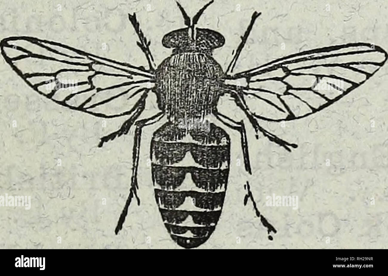 Bishop gardner hi-res stock photography and images - Alamy