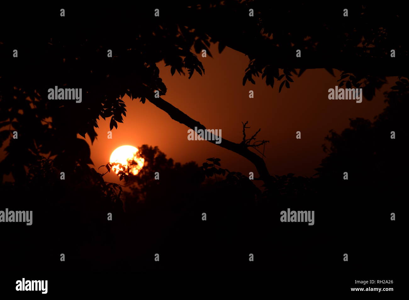 A lovely view of Sunset from top of the terrace Stock Photo - Alamy